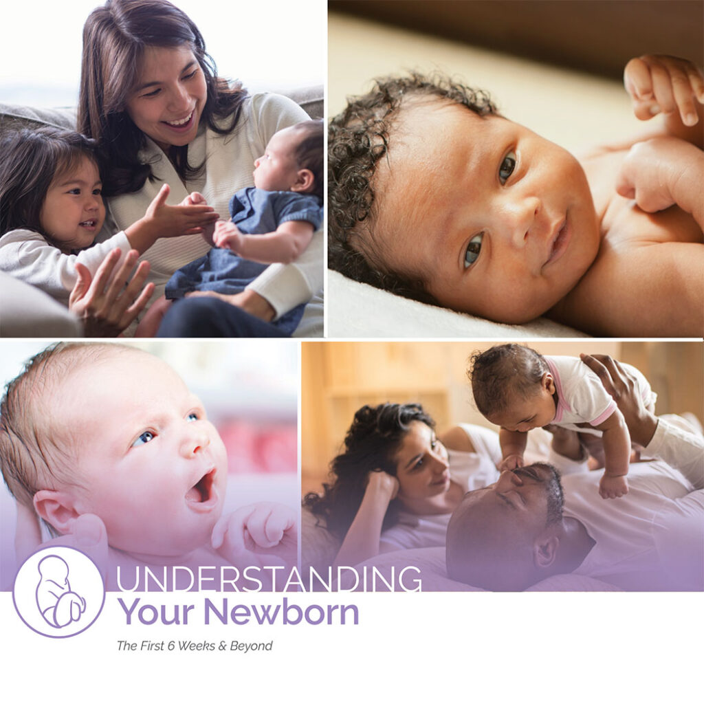 Understanding Your Newborn 2nd Edition Video Program: DVD or USB ...