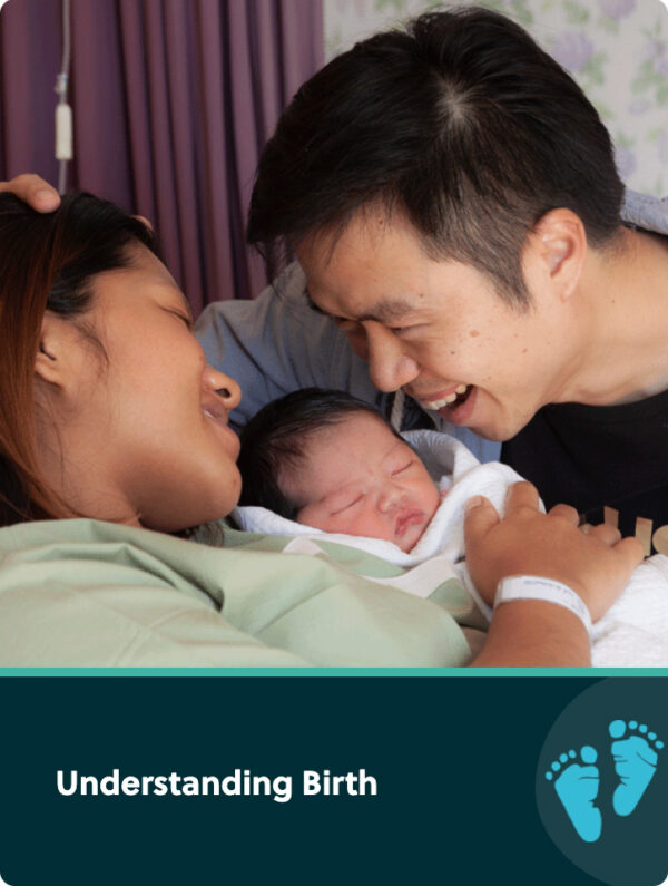 Understanding Birth Curriculum - InJoy Health Education