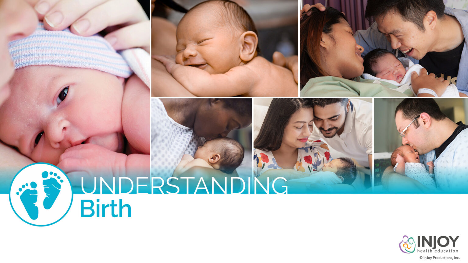 Understanding Birth Book + Web App | Childbirth Class Materials
